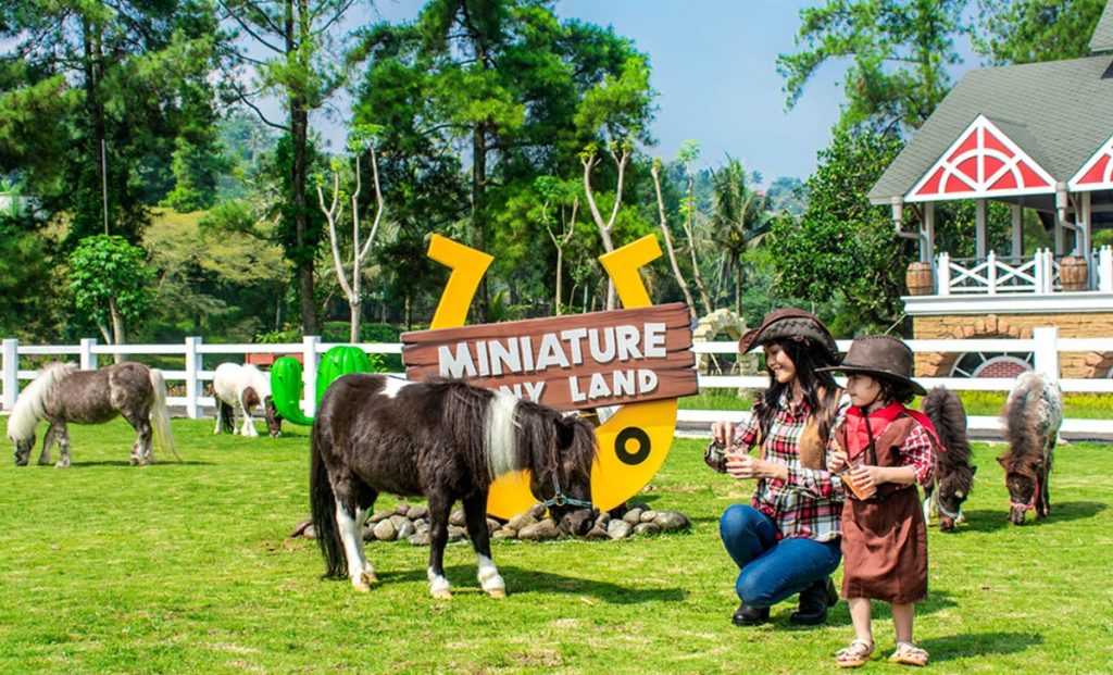 Hore! Taman Wisata Cimory Dairyland Bakal Hadir di BSD City Tangsel ...
